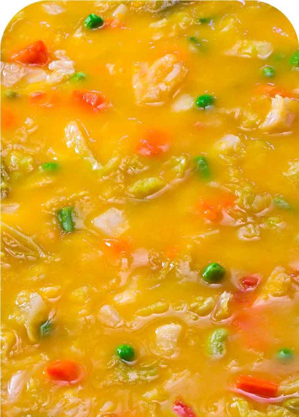 Sopa Primavera – Brilha Alimentar